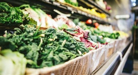 Function Of Liver In Digestive System 5 Functions Of Livers