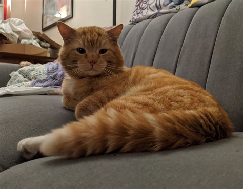 Aurora Aurora R Obrien Twitter