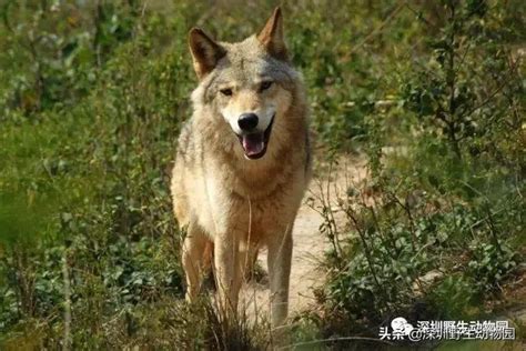 你中了「沉睡魔咒」？ 每日頭條