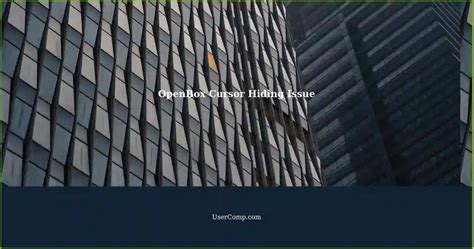 Openbox Hides Cursor On Raspberry Pi A Tech Support Query