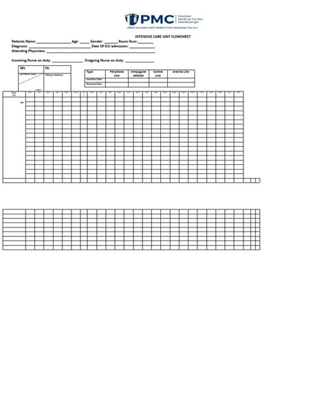 Intensive Care Unit Flowsheet Pdf