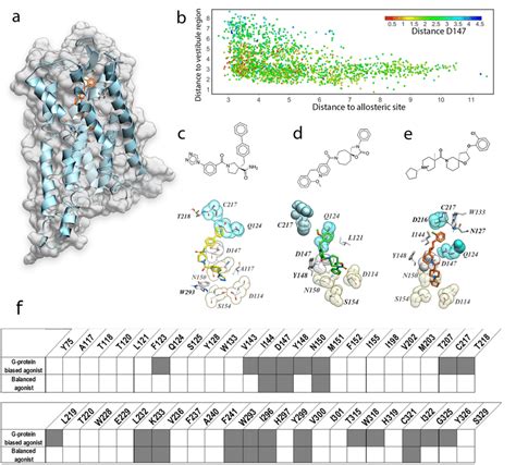 Virtual Ligand Screening Results And Mode Of Interaction For The Top Download Scientific