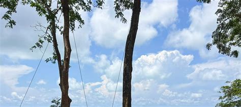 푸켓 도시 하이라이트 반나절 투어 And Atv 어드벤처 클룩 Klook 한국