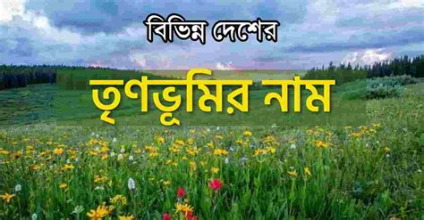 বিভিন্ন দেশের তৃণভূমির নাম তালিকা Pdf Famous Grasslands Porasona
