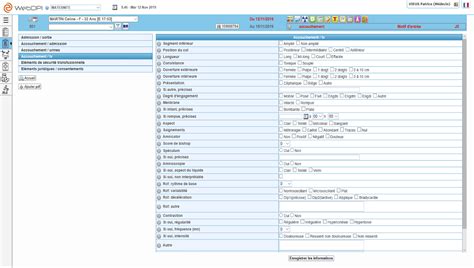 Dossier Patient Informatisé Hopitalweb Le Dpi 100 Web — Evolucare