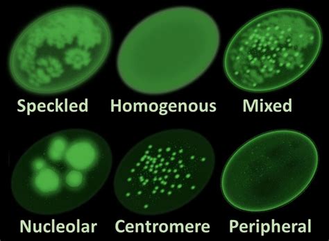 Ana Titer The Biology Blog