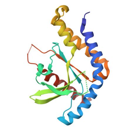 Rcsb Pdb 8z37 Crystal Structure Of Human Sting Ligand Binding Domain