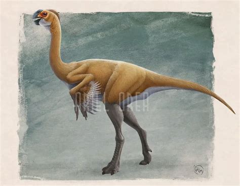 Gigantoraptor Planet Dinosaur