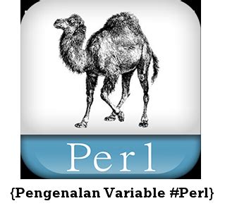 Pengenalan Variable Pada Perl Referensi Belajar Komputer
