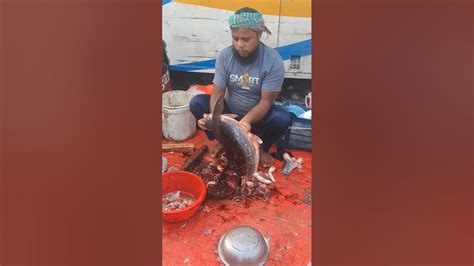 Nice Grass Curp Youtubeshorts Fishcooking Bdfishcutting Fishcutting