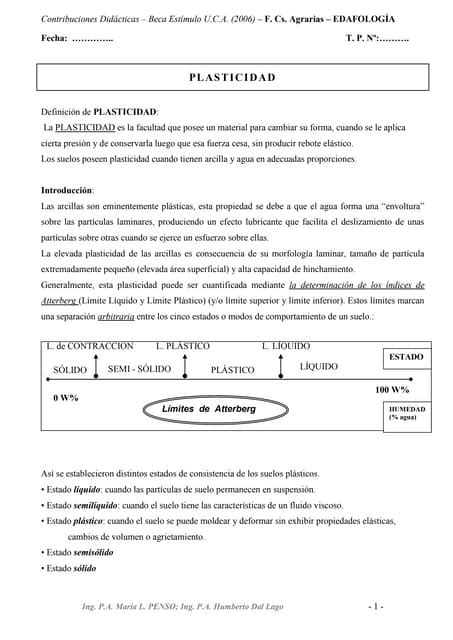 Plasticidad Tp Nº 3 Doc