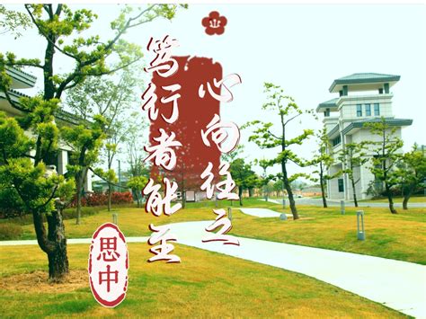 梧州市思中学校招聘主页 万行教师人才网
