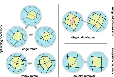 Several Common Local Operations Used In The Literature Edge Rotate An Download Scientific