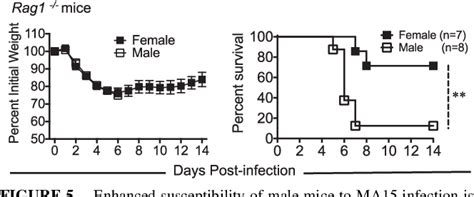 Figure 1 From Sex Based Differences In Susceptibility To Severe Acute Respiratory Syndrome