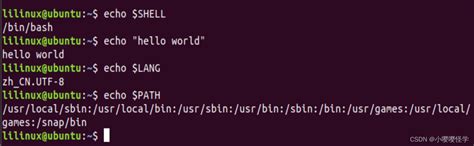 Linux基础命令 时间相关命令andecho命令and帮助命令and历史命令and产看根目录命令and文件显示命令linux Echo时间 Csdn博客