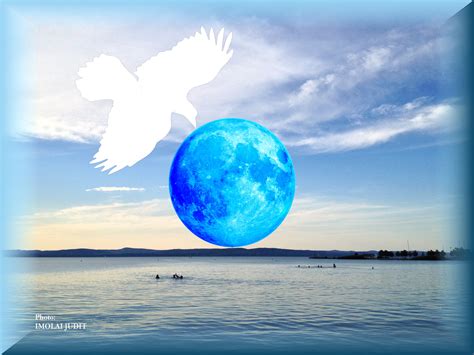 A Kék Hold és A Fehér Holló Imolai Judit