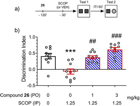 A Novel Object Recognition Test Experimental Design B Effects Of