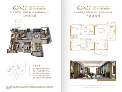 星河山海湾楼盘房价，星河山海湾楼盘详情，户型图，电话，地址，环球居客 户型图