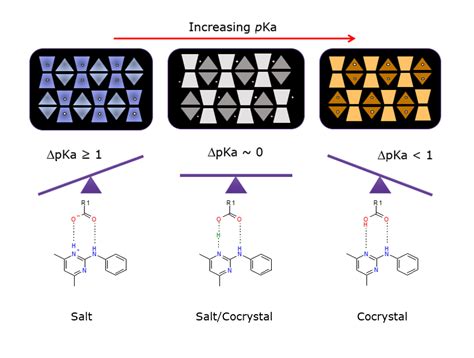 Polymorph Salt Cocrystal Screening Veranova