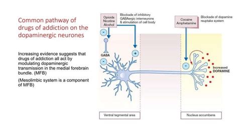 Ethanol Drug Use Disorders And Addiction Ppt