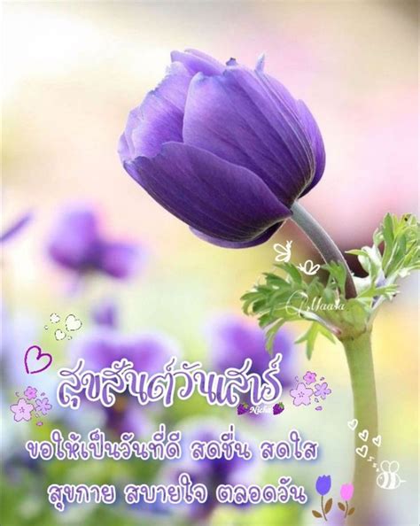 ปักพินโดย 🌸🌿perry🌸🌿 ใน Hi Saturday 💜 ดอกไม้สีม่วง สวัสดีตอนเช้า ดอกไม้