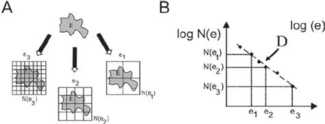 A The Box Counting Technique Applied In A Theoretical Fractal Set Download Scientific Diagram