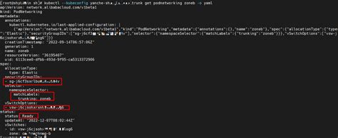 ACK容器网络Terway ENI Trunking数据链路全景剖析 阿里云帮助中心