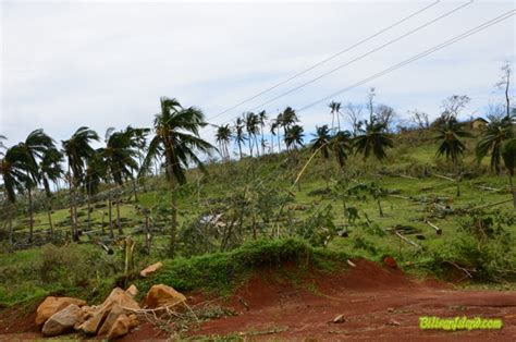 Super Typhoon Yolanda Batters Biliran Biliran Blogs