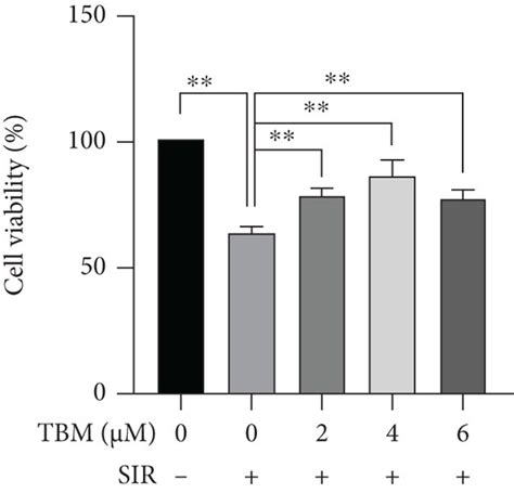 Tbm Treatment Effects On Sir Injured H9c2s Cell Viability Oxidative