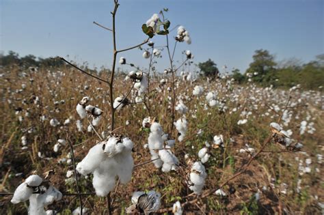 Gap Missguided And Urban Outfitters Accused Of Greenwashing For