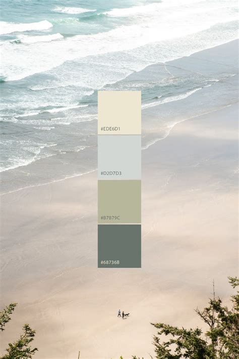 Coastal Inpspired Colour Palette Beach Color Palettes Coastal Color