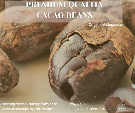 Cacao Cocoa Cacaobean Texas Exportporium