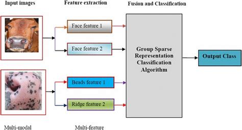 Proposed Block Diagram Of Cattle Recognition Download Scientific Diagram