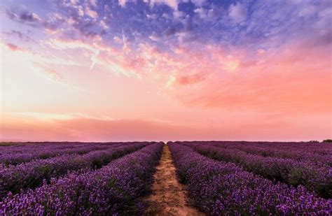 دانلود والپیپر 4k برای کامپیوتر ویندوز 10 و 11 لرن پارسی