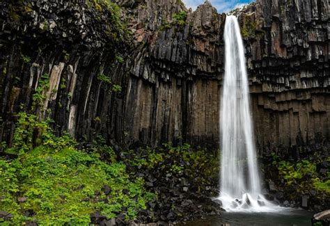 Premium Photo Svartifoss Waterfall In The Skaftafell National Park