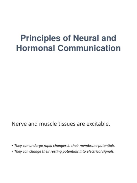 lecture 5and6 pdf
