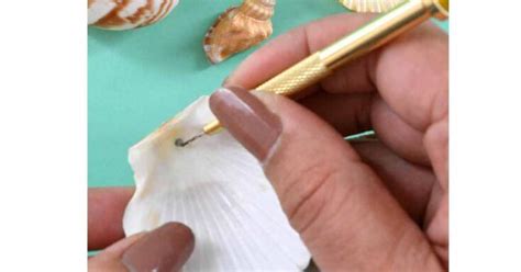 How To Make A Hole In A Seashell Without Breaking It