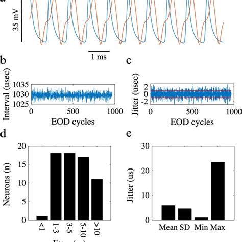 Receptive Field Analysis In A Single Neuron A The Intracellular Download Scientific Diagram