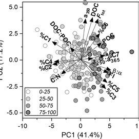 Graphical Representation Of PCA Results Including Loadings Plot For