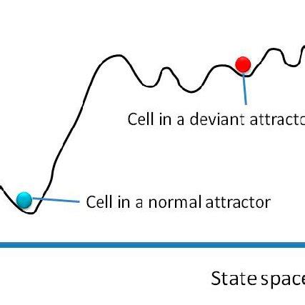 Schematic Representation Of Cells In Normal And Variant Attractors In