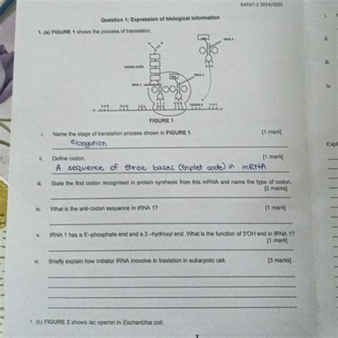 Rapat Questica Is Expression Of Studyx