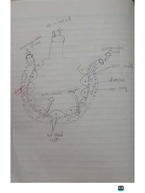 Unit 2 Topic 2 5 To 2 12 And Unit 6 Complete Pdf