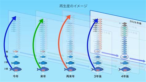 ④水産資源の資源評価～将来を予測する～ Youtube