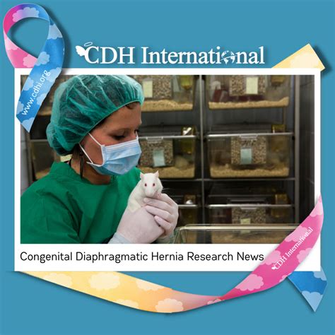 Cdh International A Global Initiative To Stop Congenital