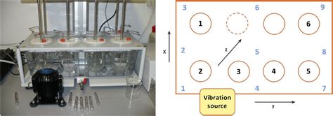 Experimental Setup For The Vibration Experiments Dissolution Bath With Download Scientific