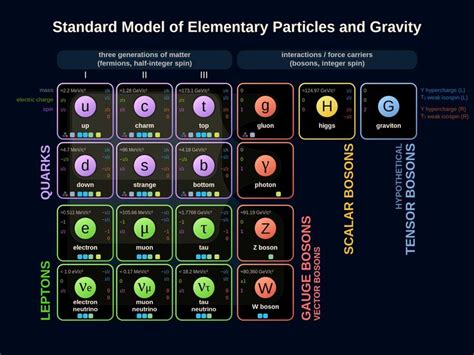 File Standard Model Of Elementary Particles And Gravity Svg Wikipedia