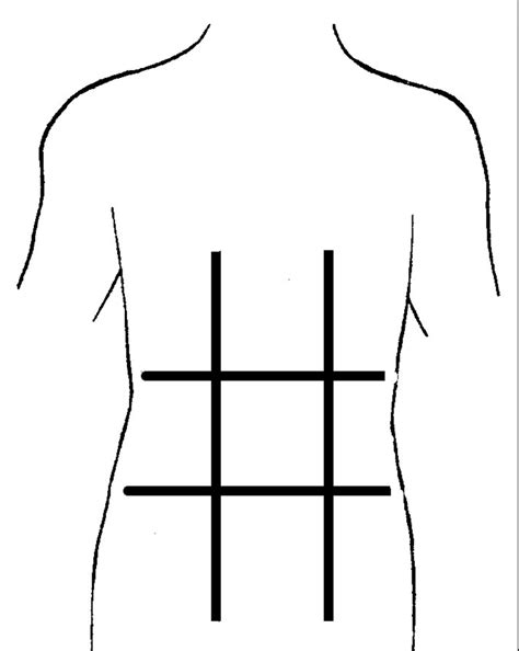 Anatomy Unit 1 Diagram Quizlet