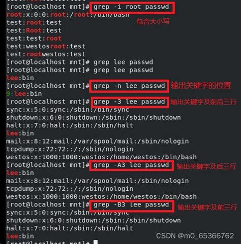 Linux文本处理工具 Csdn博客
