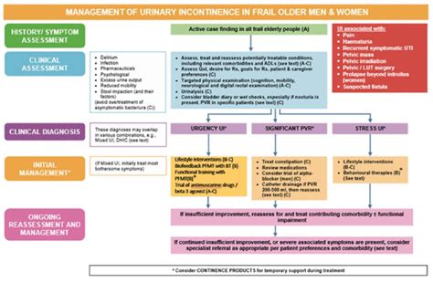 Ics Management Of Urinary Incontinence In Frail Older Women And Men