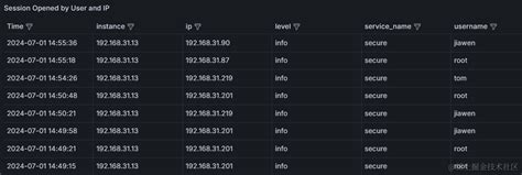 使用 loki 对 ssh 登录活动进行实时监控 ssh登录实时监控 csdn博客